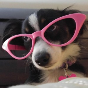 NEW Natural Origins Organic Boxed Wine - Randall's