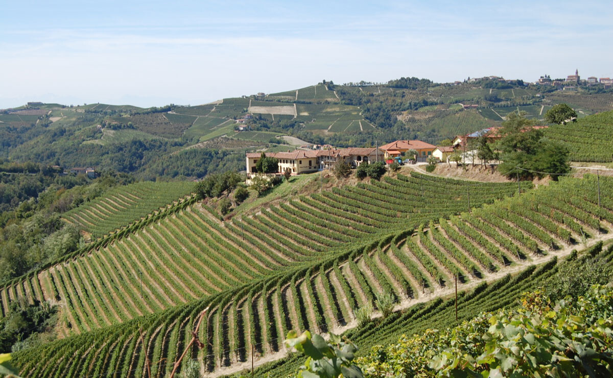 Italian Wine Tasting - Cape Cod Package Store Fine Wine & Spirits ...