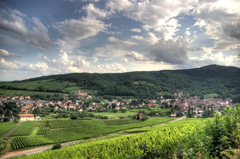 Wines of Alsace - Part 1 - Cape Cod Package Store Fine Wine & Spirits ...